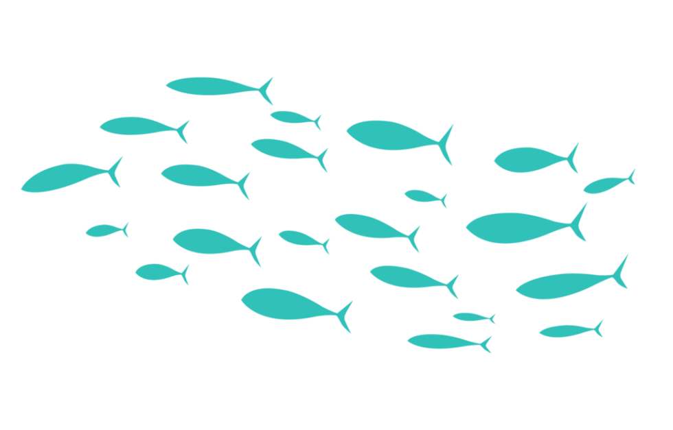 Whale Shark | The Polka-Dotted Shark That Loves Plankton